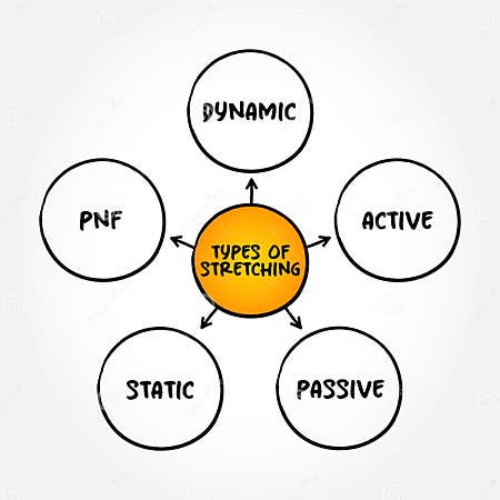 Types of Stretching - Form of Physical Exercise in Which a Specific ...