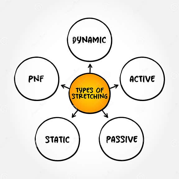 Types of Stretching - Form of Physical Exercise in Which a Specific ...