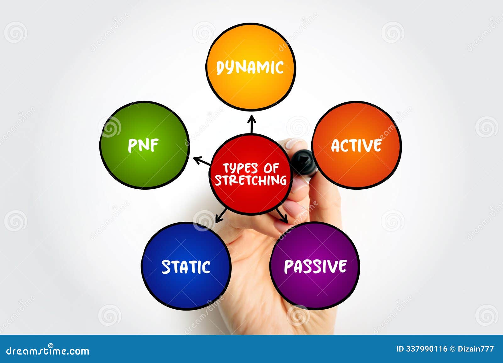 Types of Stretching - Form of Physical Exercise in Which a Specific ...