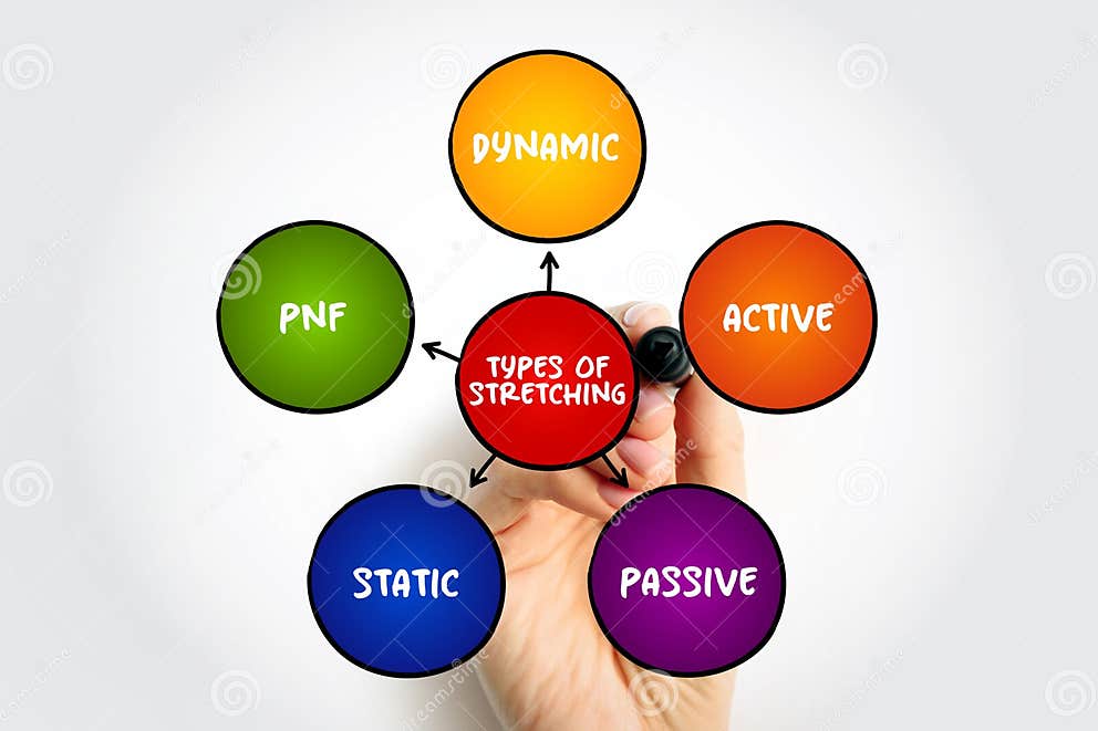 Types of Stretching - Form of Physical Exercise in Which a Specific ...