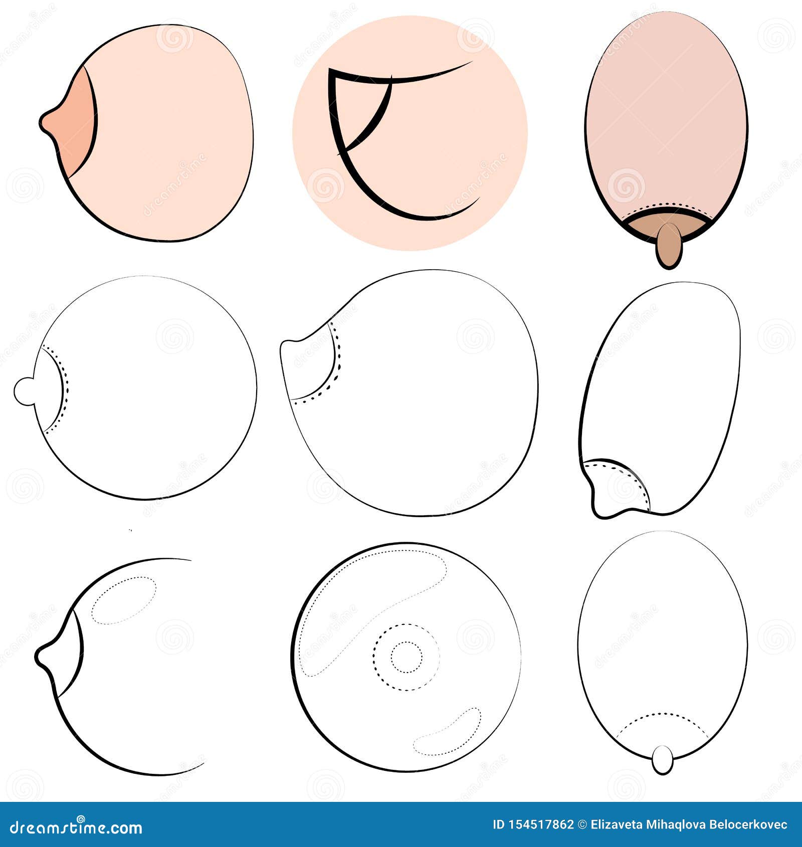 Types of Women`s Breasts. Women`s Breast Icon, Breast Icon Vector ... Types of Women`s Breasts. Women`s Breast Icon, Breast Icon Vector ...