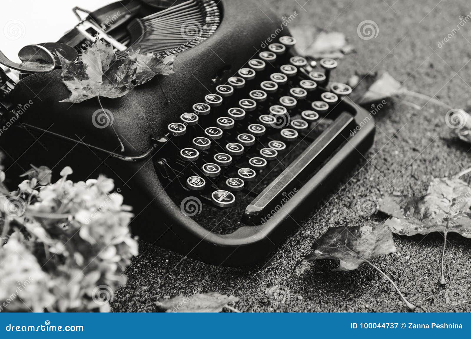 131 Antique Typewriter Autumn Stock Photos - Free & Royalty-Free Stock ...