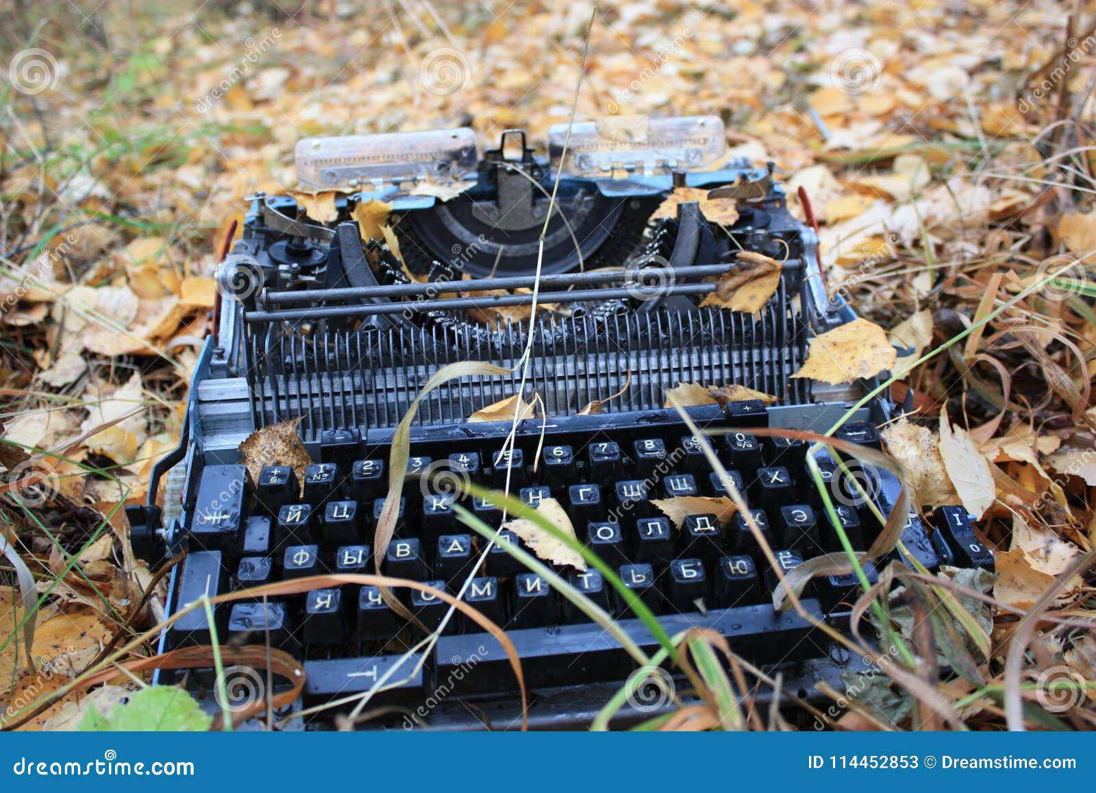 The typewriter and autumn stock image. Image of alone - 114452853