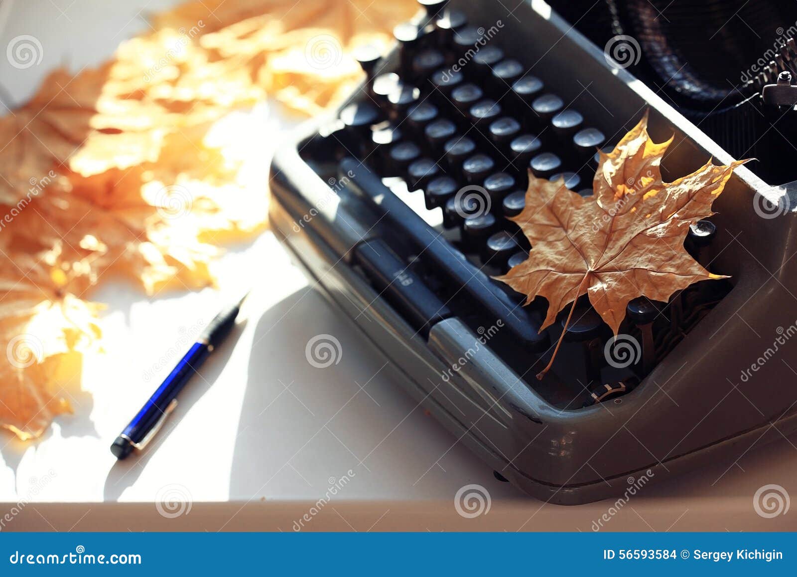 Typewriter concept autumn stock photo. Image of blank - 56593584