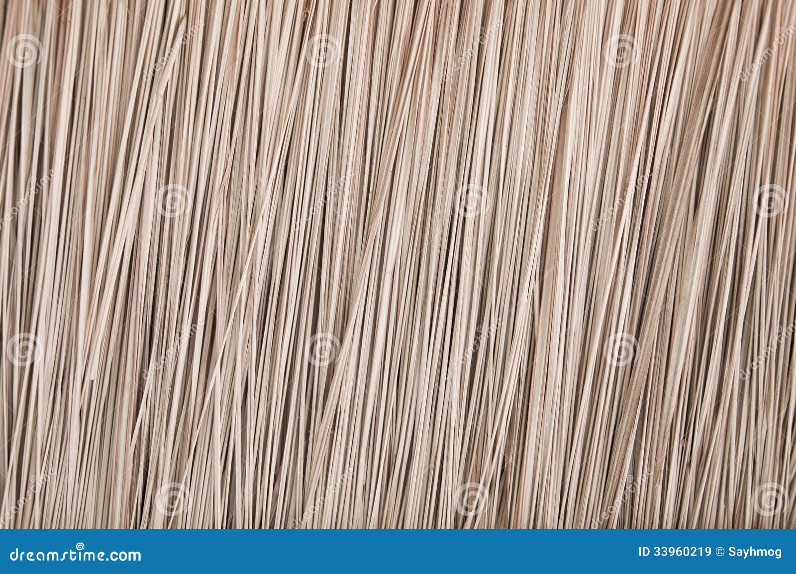 Typha Elephantina Dry Leaf Pattern Stock Image - Image of pattern ...