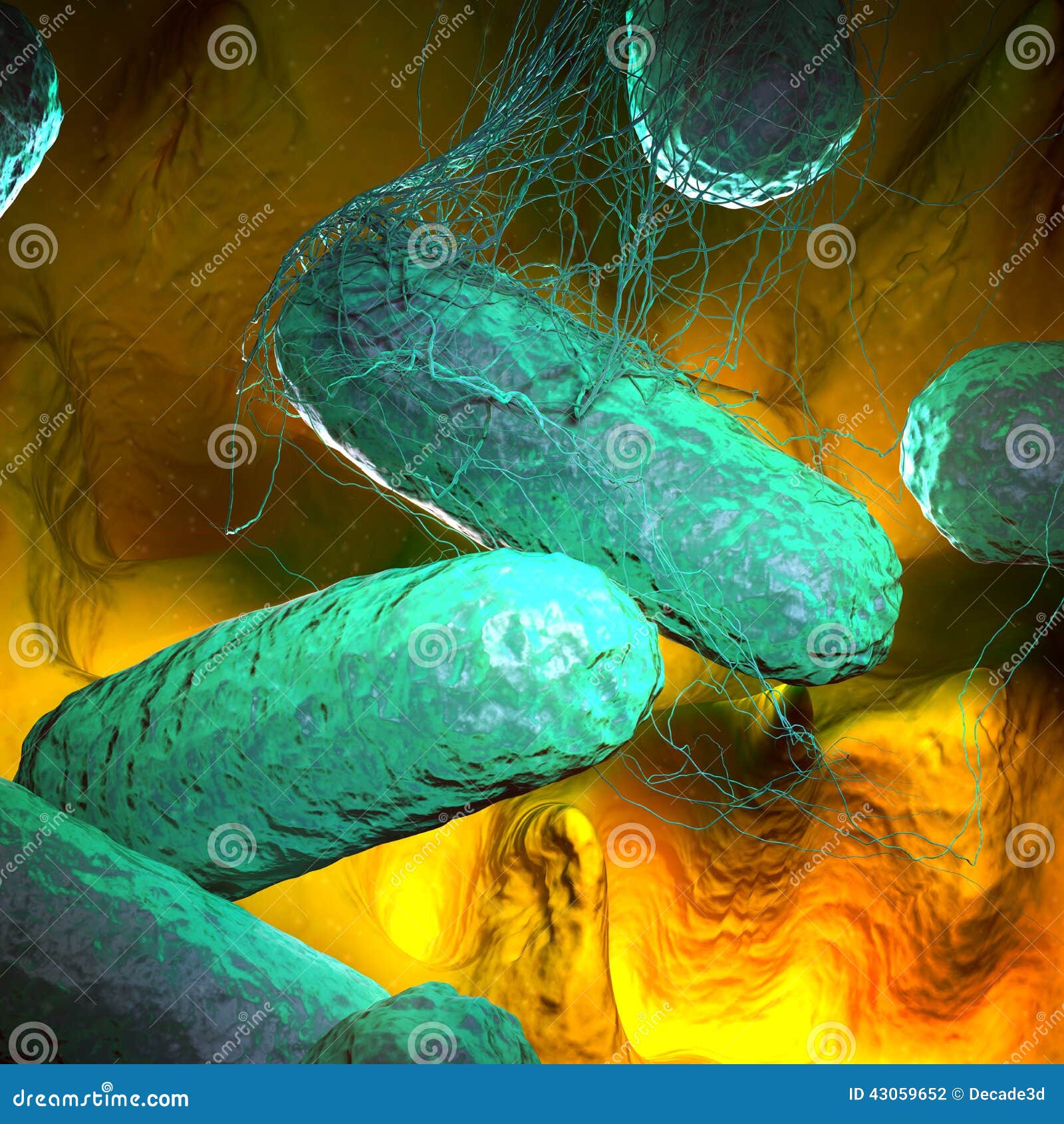 Typhus stock abbildung. Illustration von hintergrund - 43059652