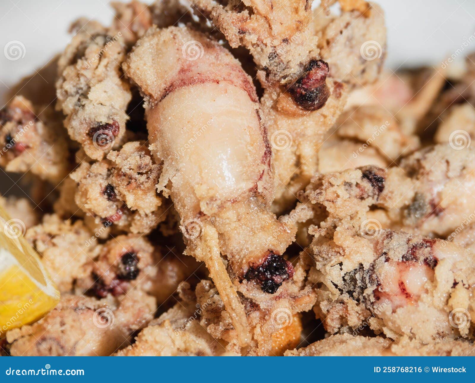 Adobo stock photo. Image of prepared, deep, andalusia - 258768216