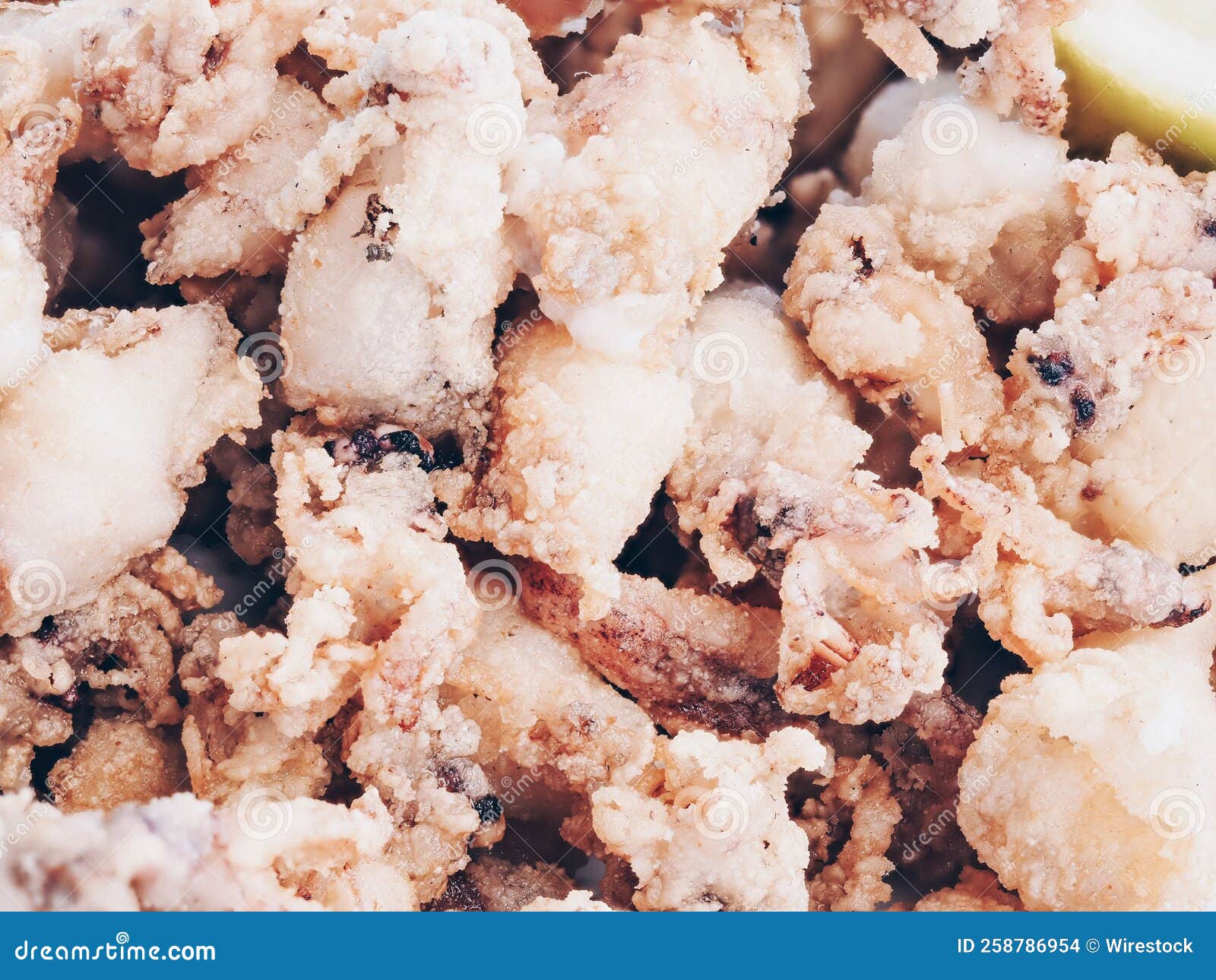 Adobo stock photo. Image of adobo, finger, marinated - 258786954