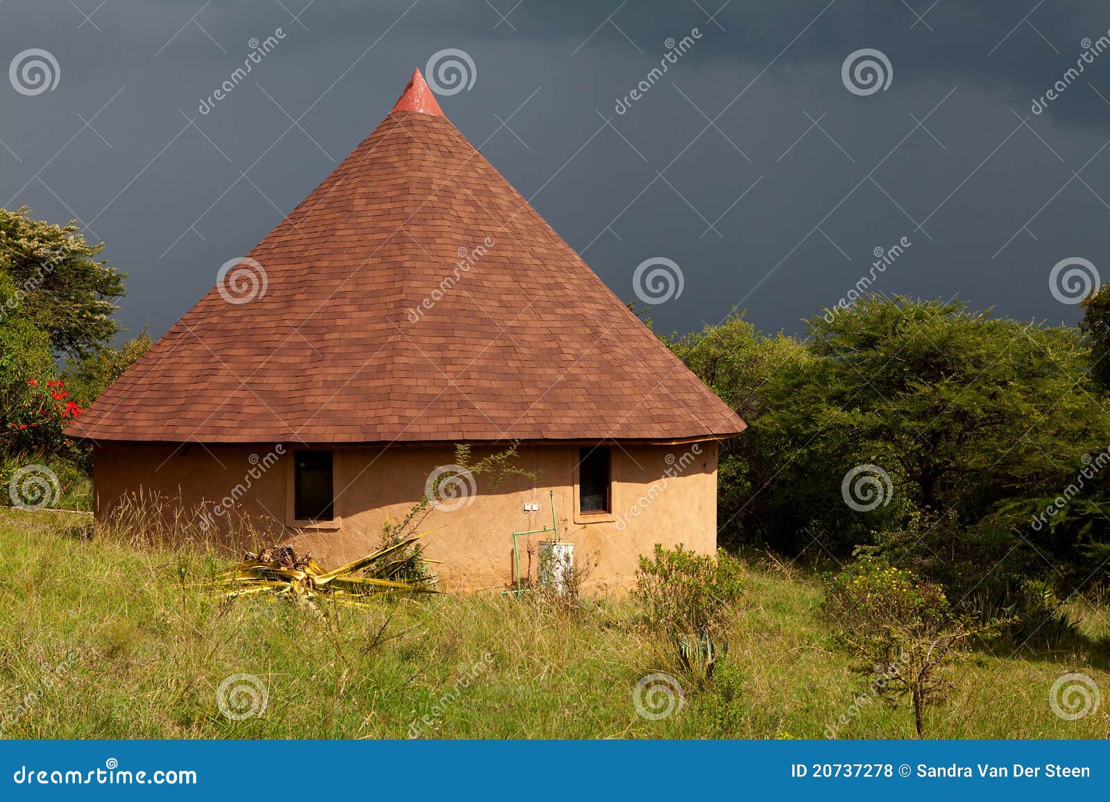 Typical African Tree Known As Imbondeiro. African Plain. Angola. Stock ...
