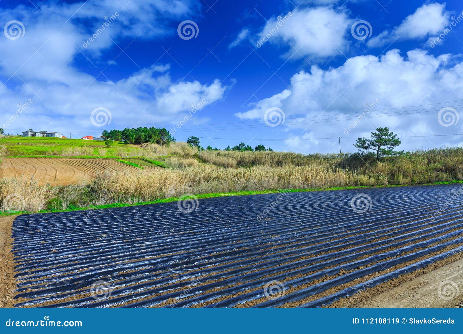 A Typical Agriculture Technology of Early Spring Cultivation of Stock ...