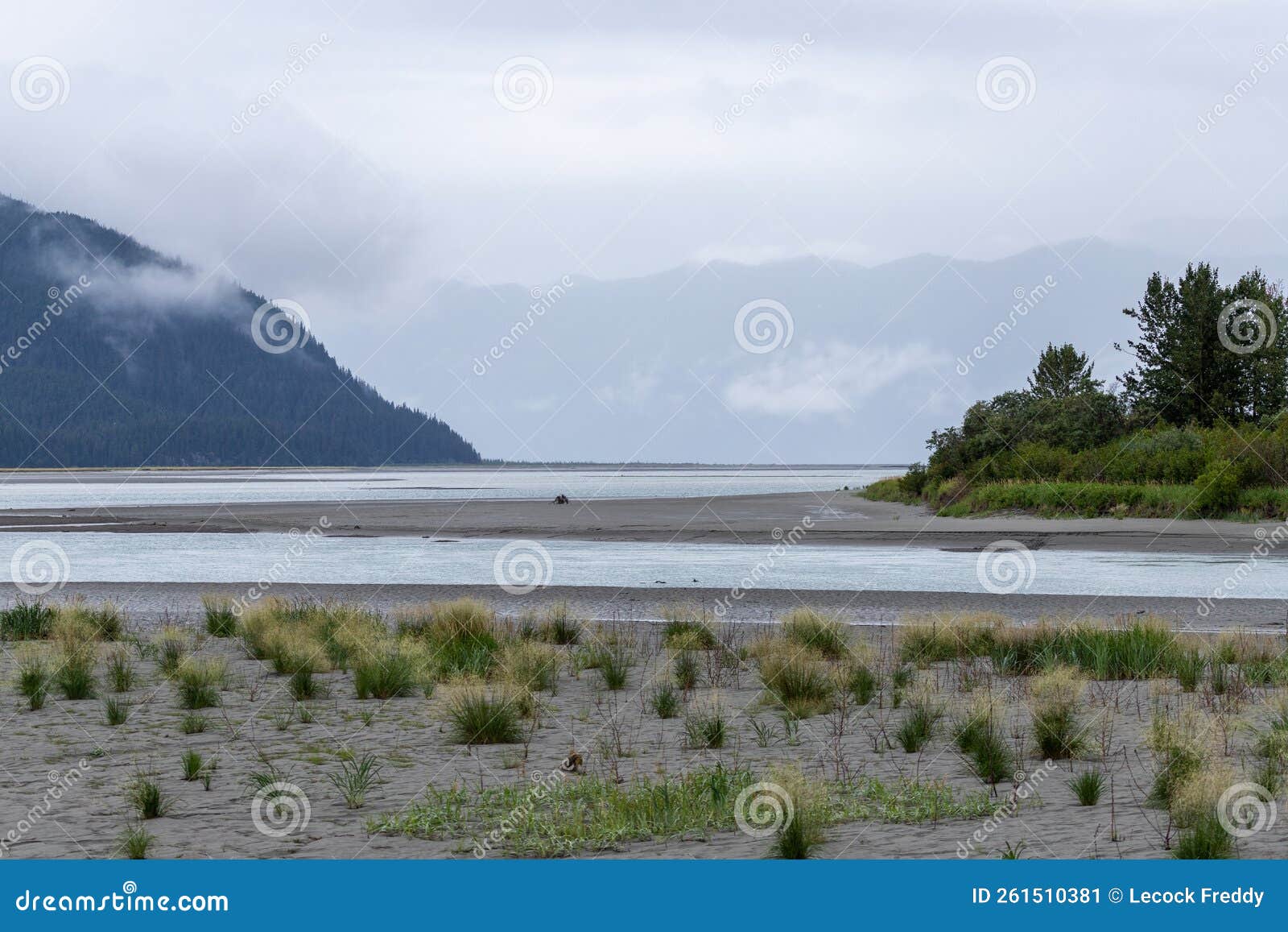 Along the Alaskan roads stock image. Image of beautiful - 261510381