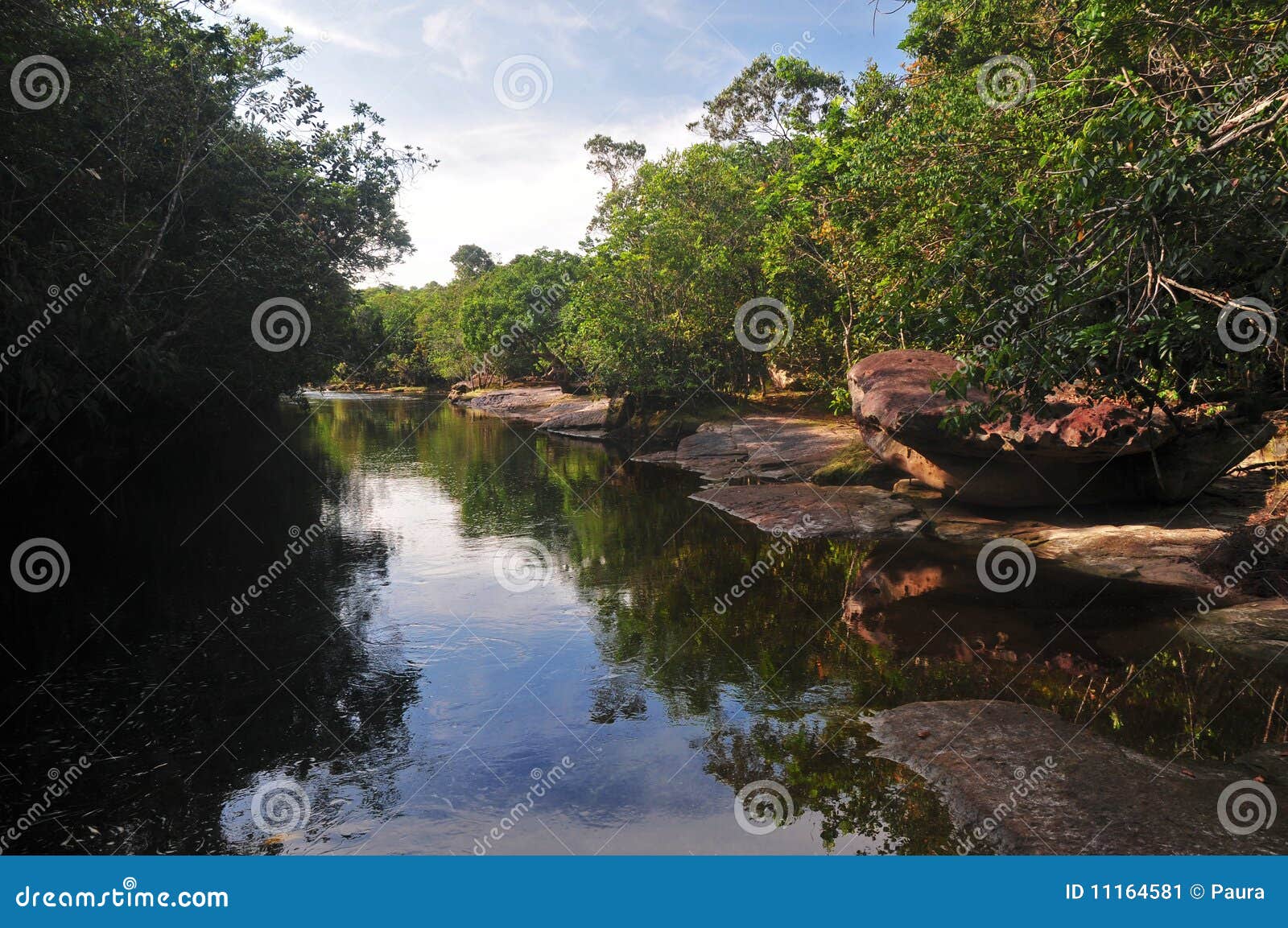 Typical Amazon Creek (the Amazonia) Stock Image - Image of stream ...