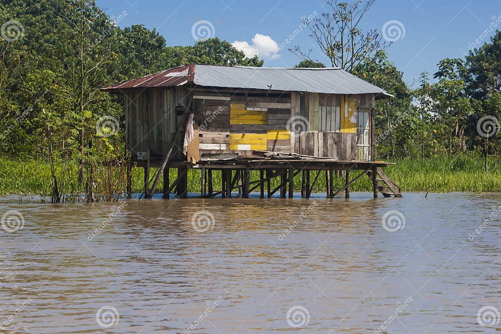 Typical Amazon Home (Amazonia) on Stilts Standing in Water Stock Photo ...