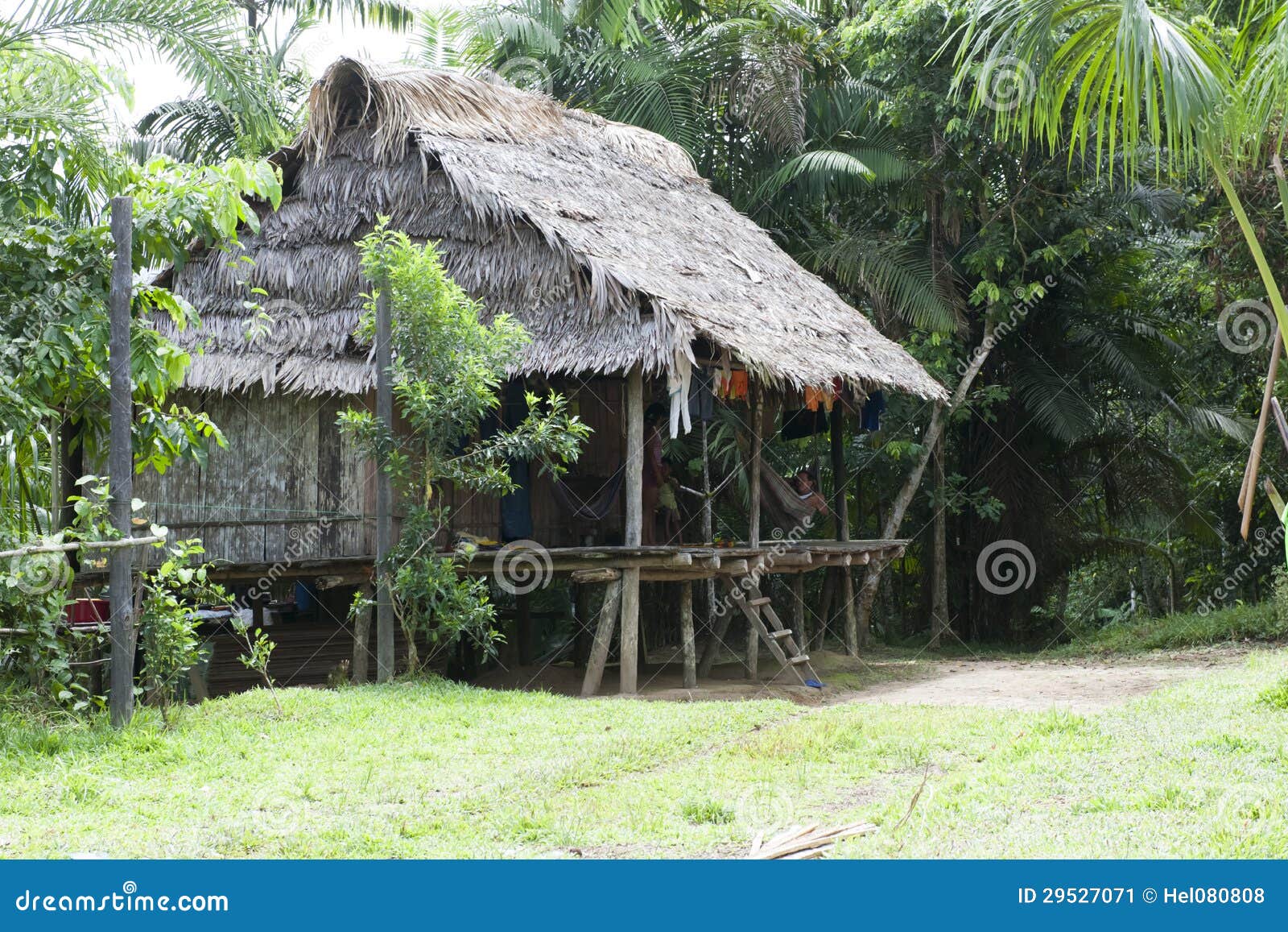Typical Amazon Home, Amazonia. Hut Built from Logs and Palm Fronds. Man ...