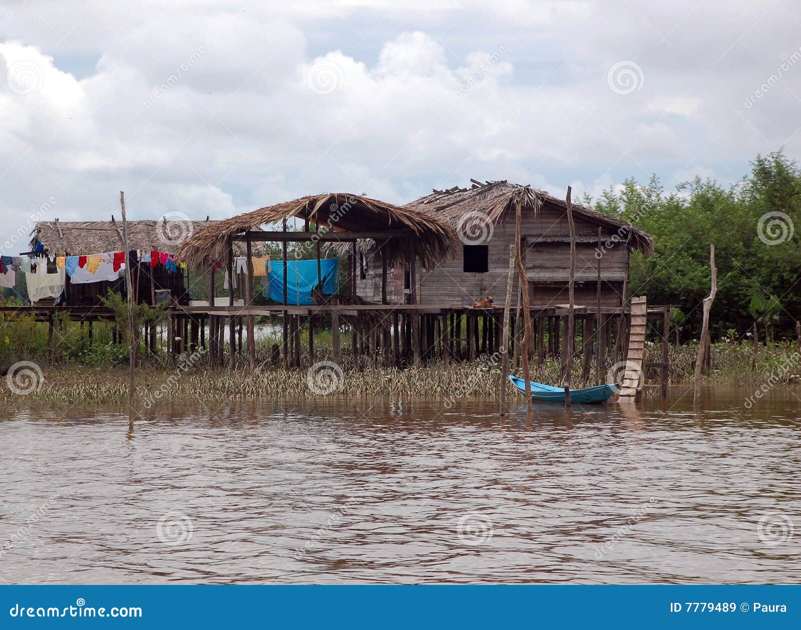 Typical Amazon Home (the Amazonia) Stock Image - Image of condition ...