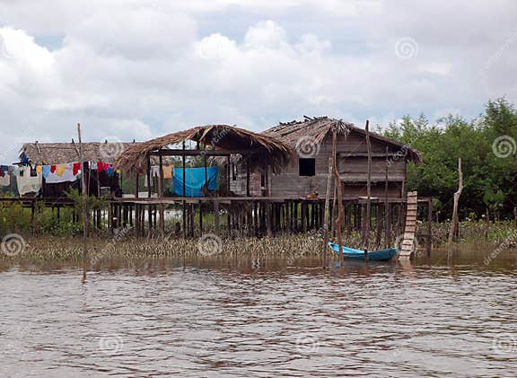 Typical Amazon Home (the Amazonia) Stock Image - Image of condition ...