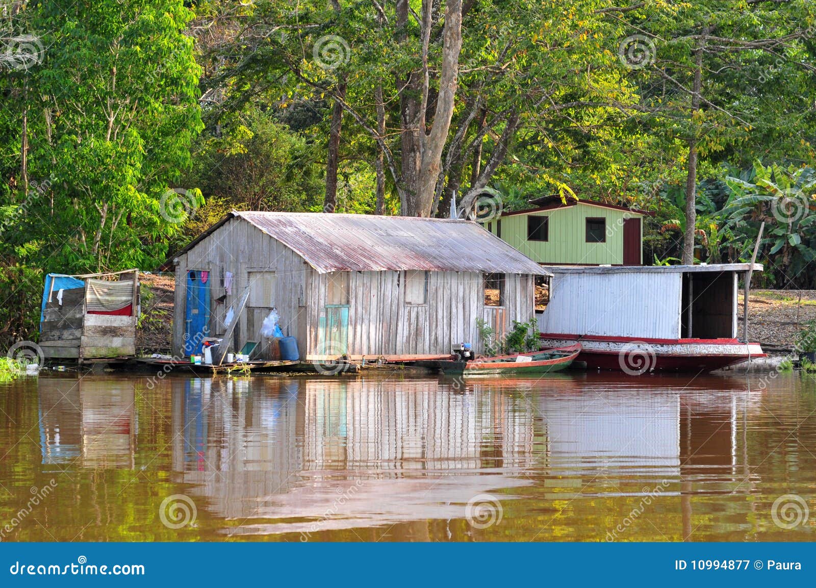 Typical Amazon Jungle Home (Amazonia) Stock Image - Image of favela ...