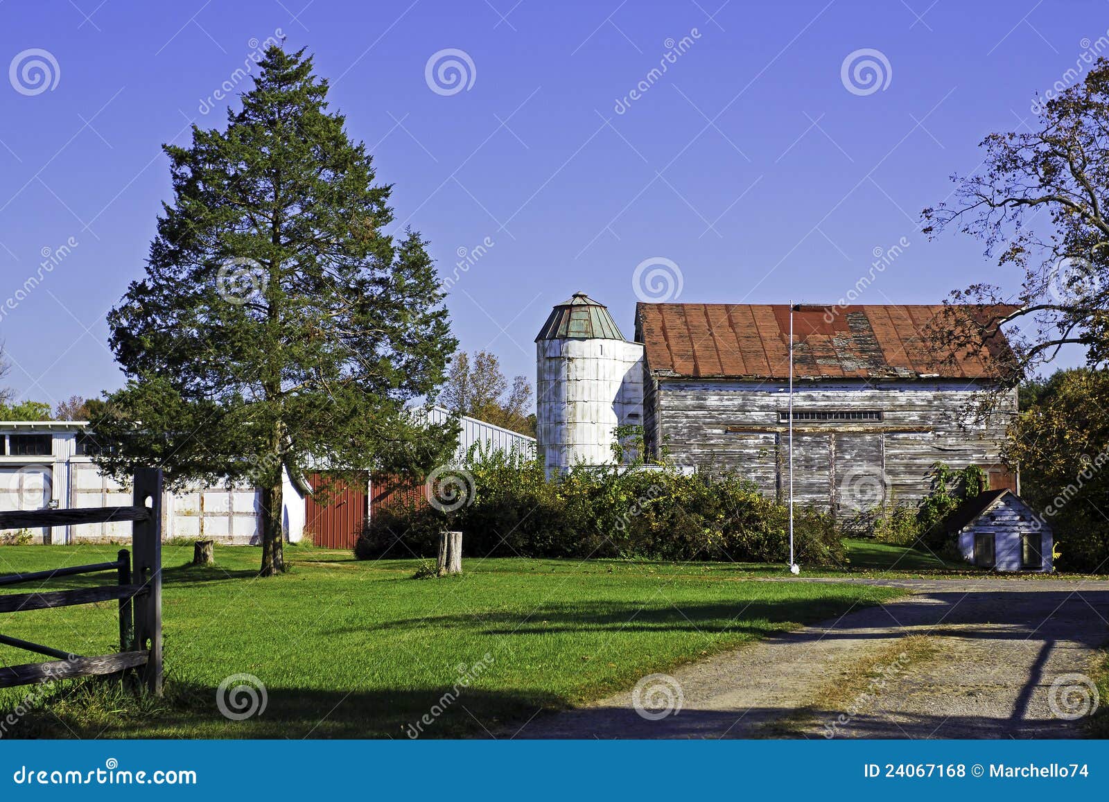 Typical American Farm stock photo. Image of shadow, healthy - 24067168