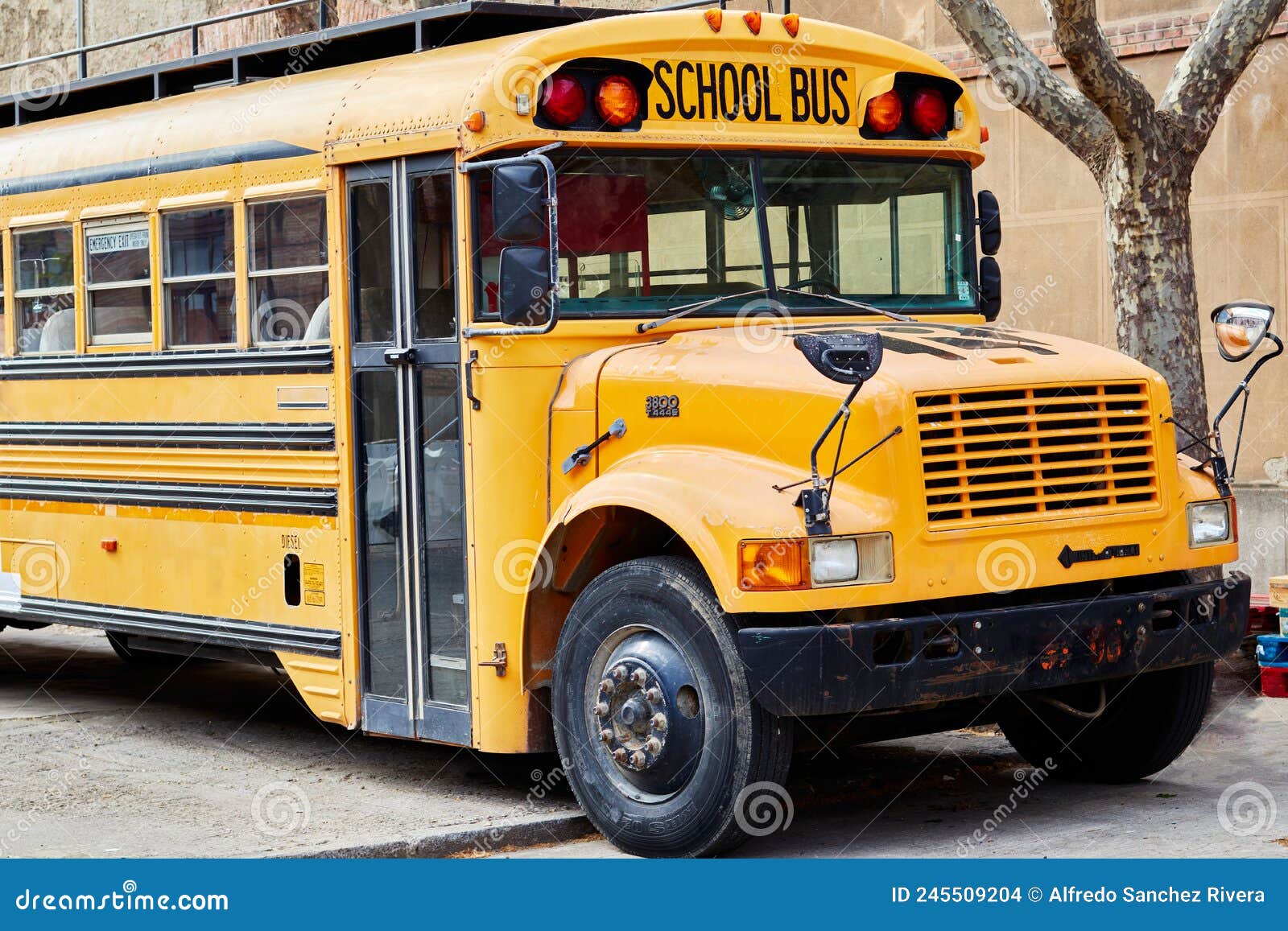 Typical American Yellow School Bus. Front View Stock Photo - Image of ...