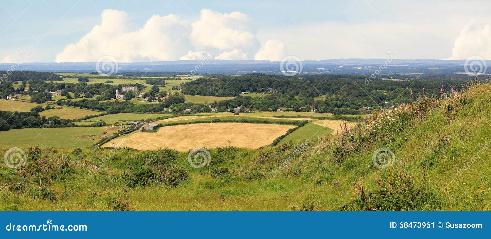 Typical British Landscape Near Lulworth Stock Image - Image of ...