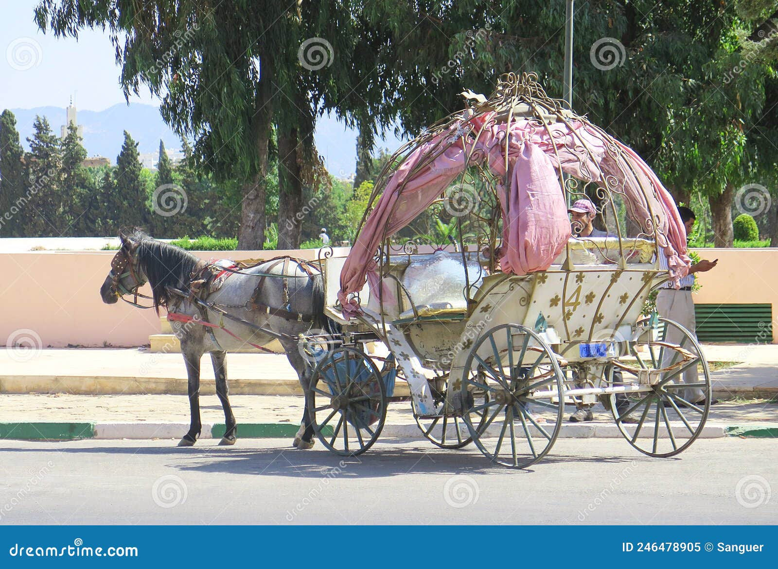 Typical Carriage on a Street in Morocco Stock Image - Image of horse ...