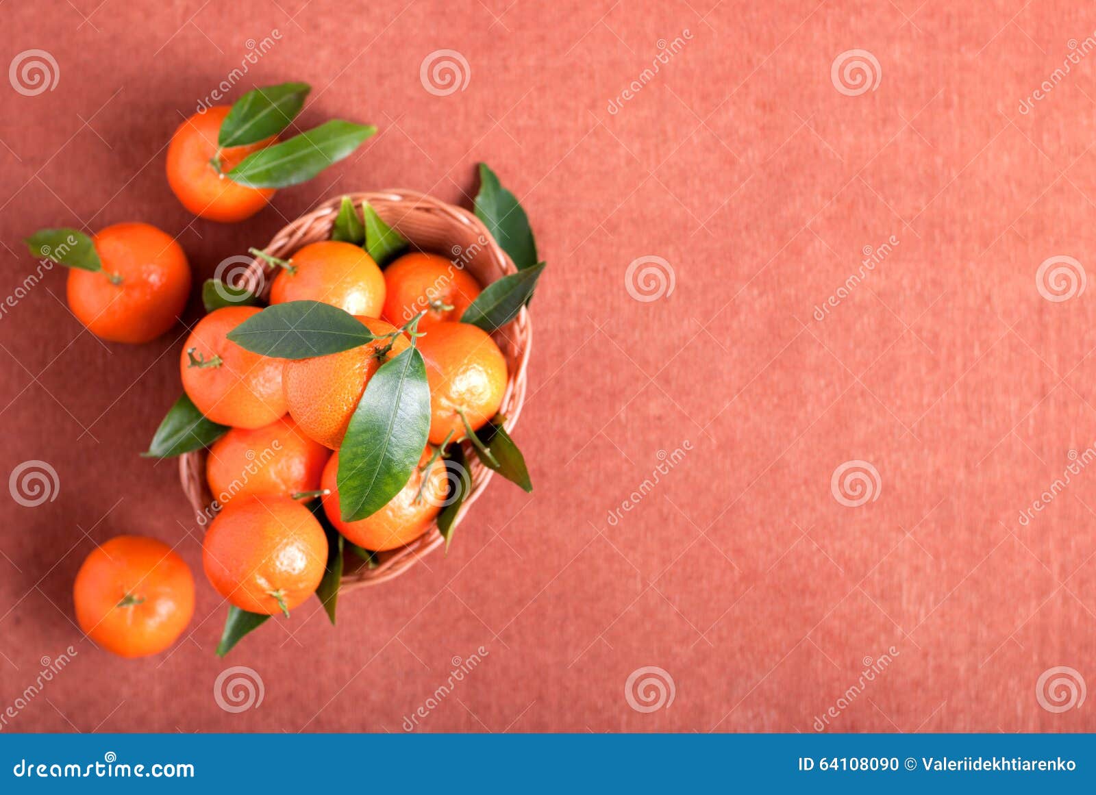 Typical Chinese Mandarin, Top View Stock Photo - Image of harvest ...