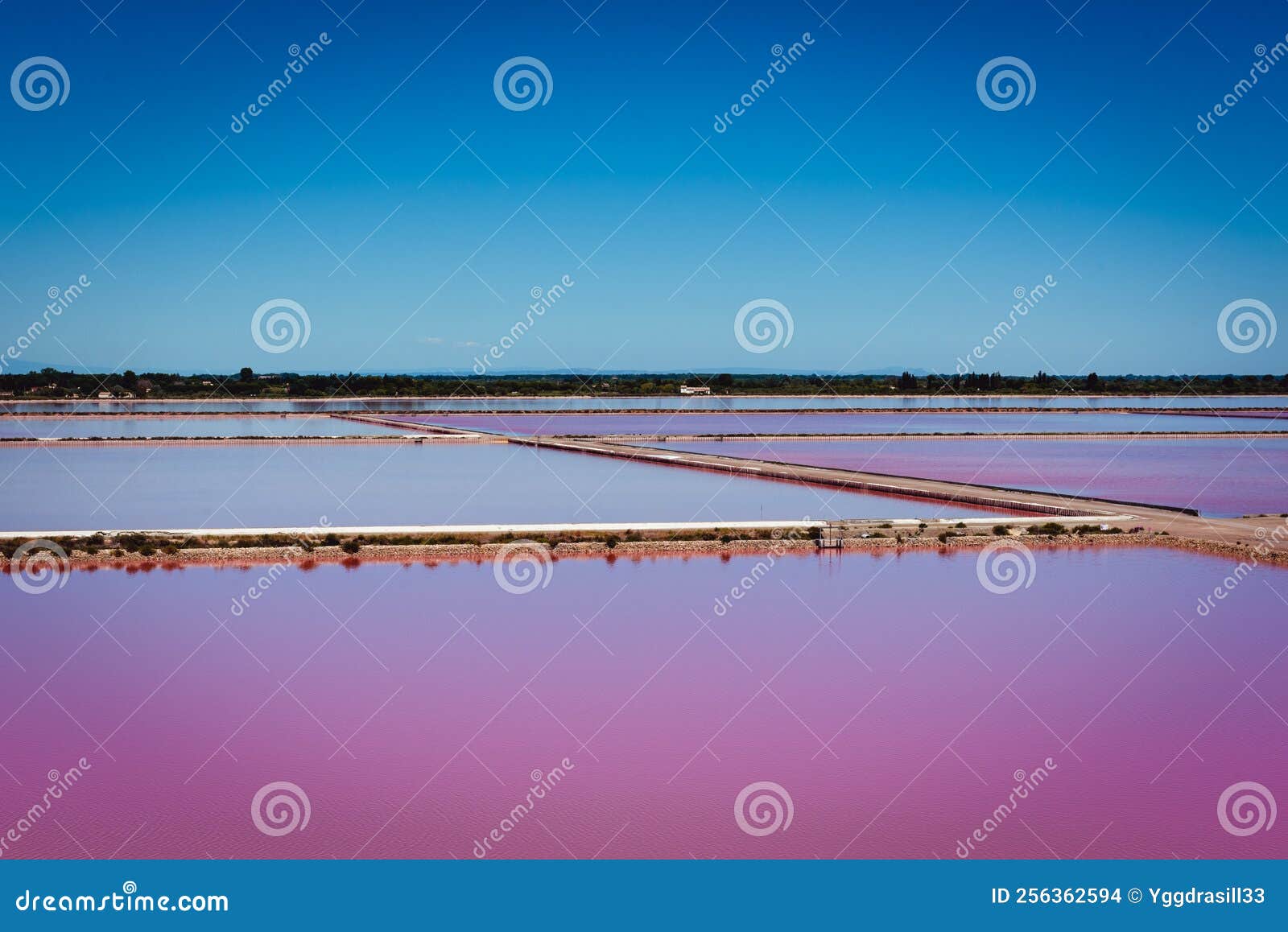 Typical Colors of Camargue`s Pink Salt Marsh Stock Photo - Image of ...
