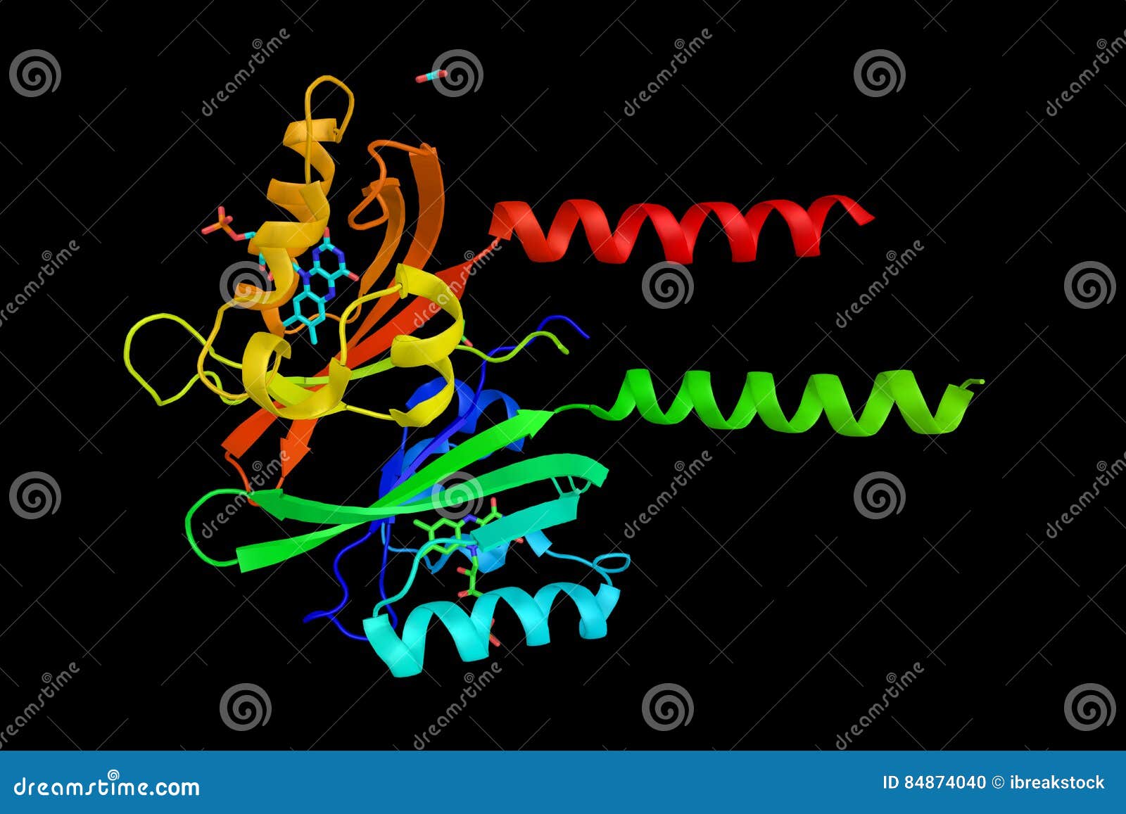 Typical Core-domain of a FMN-binding Fluorescent Protein Stock ...