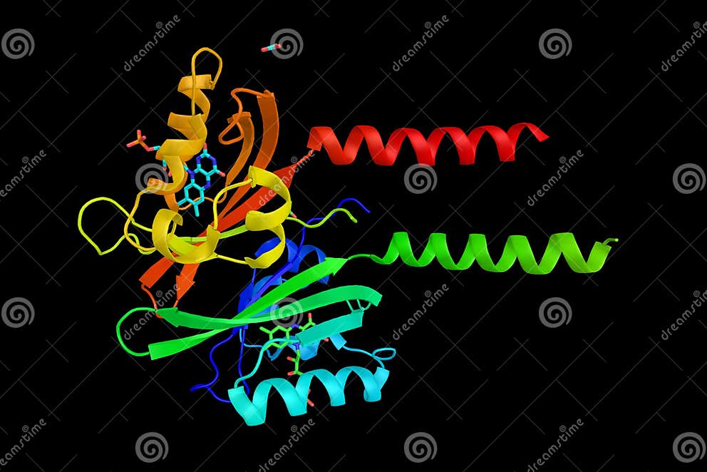 Typical Core-domain of a FMN-binding Fluorescent Protein Stock ...