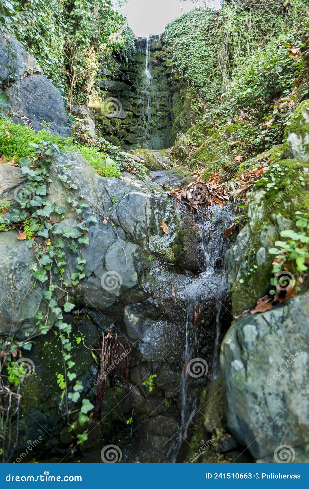 Typical Corner with a Small Greenish Waterfall with Moss and Green ...