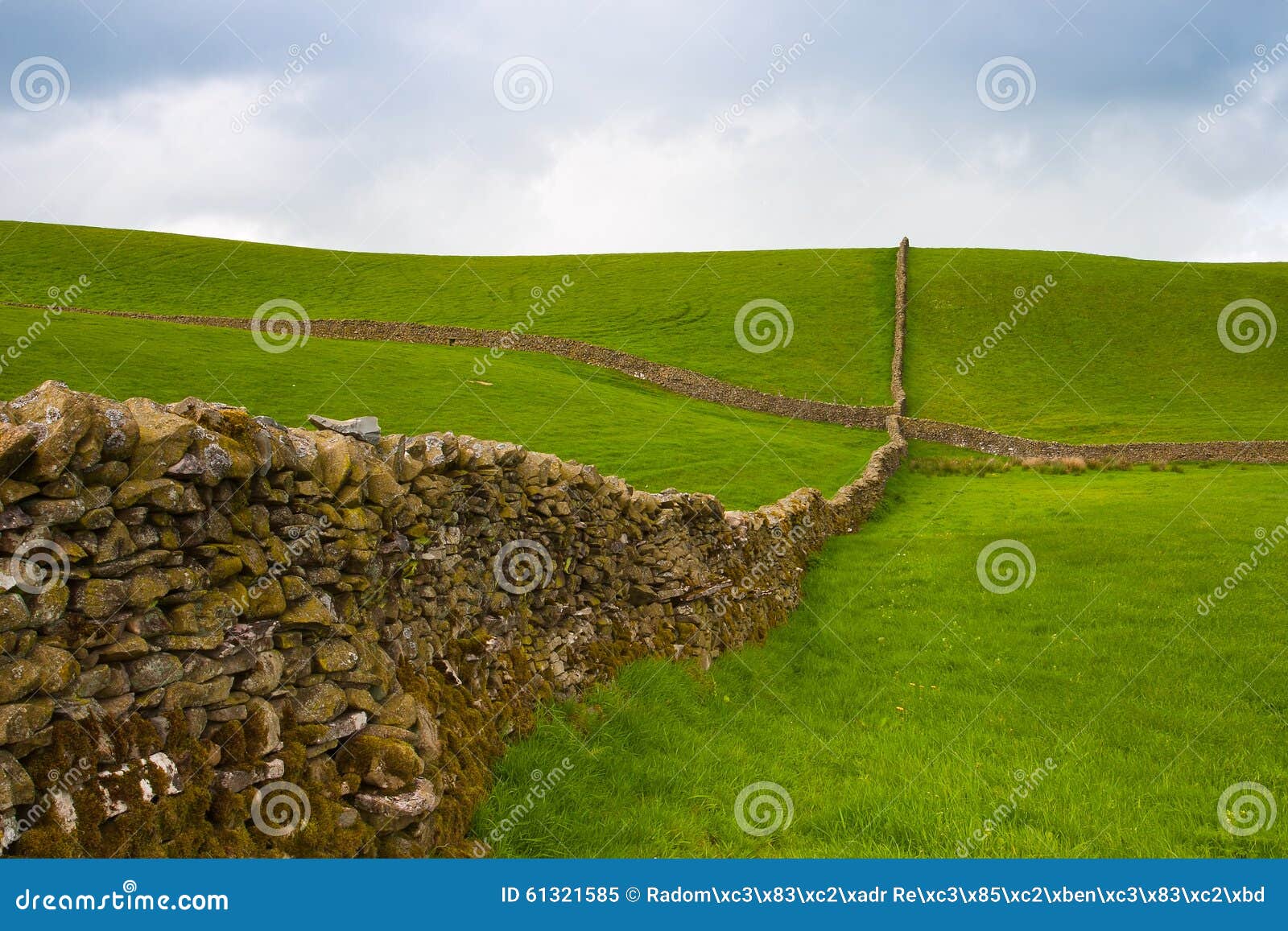 Typical Dry Stones Wall on the Pasture in Yorkshire Dales Stock Image ...