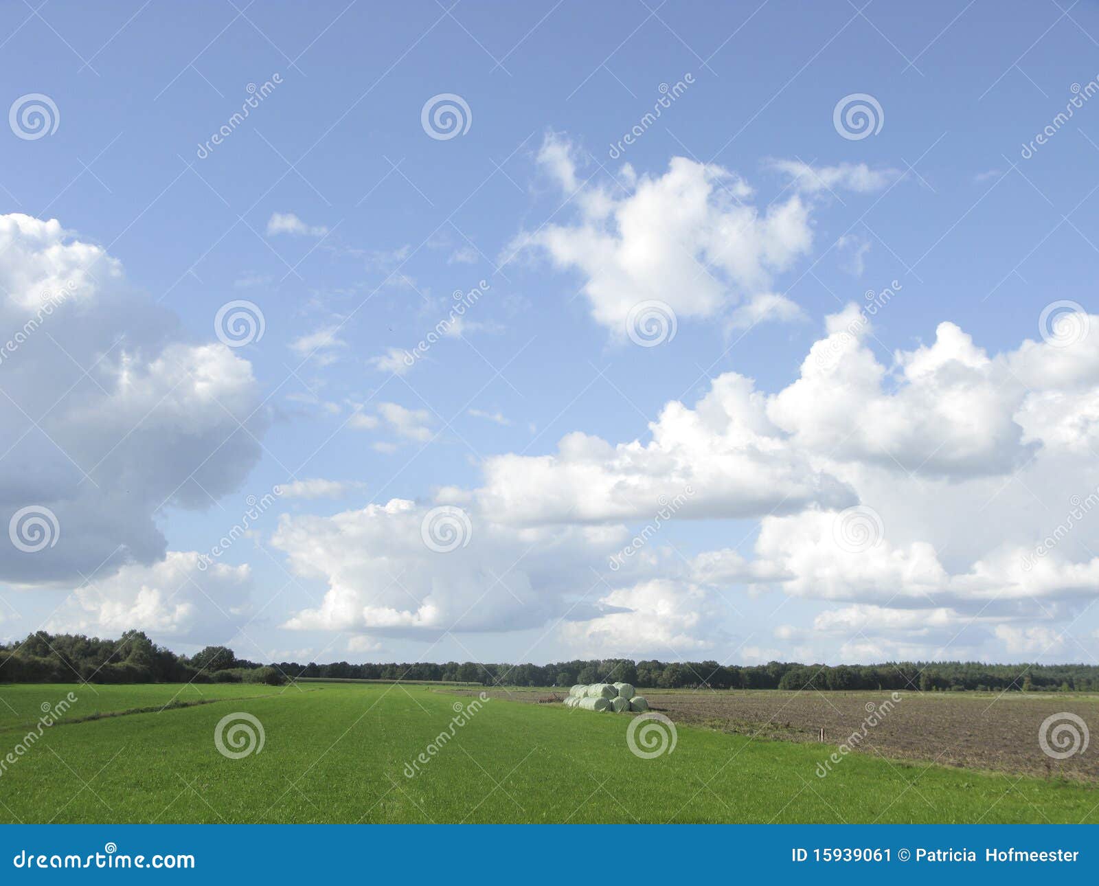 Typical Dutch Cloudscape in Summer Stock Image - Image of beautiful, agriculture: 15939061