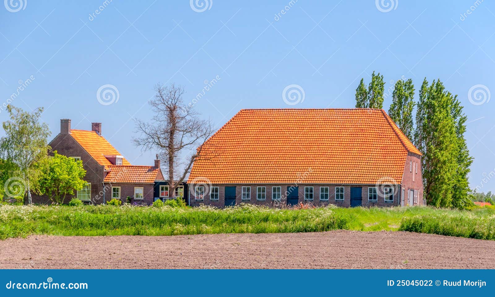 Typical Dutch farm stock photo. Image of grass, beautiful - 25045022