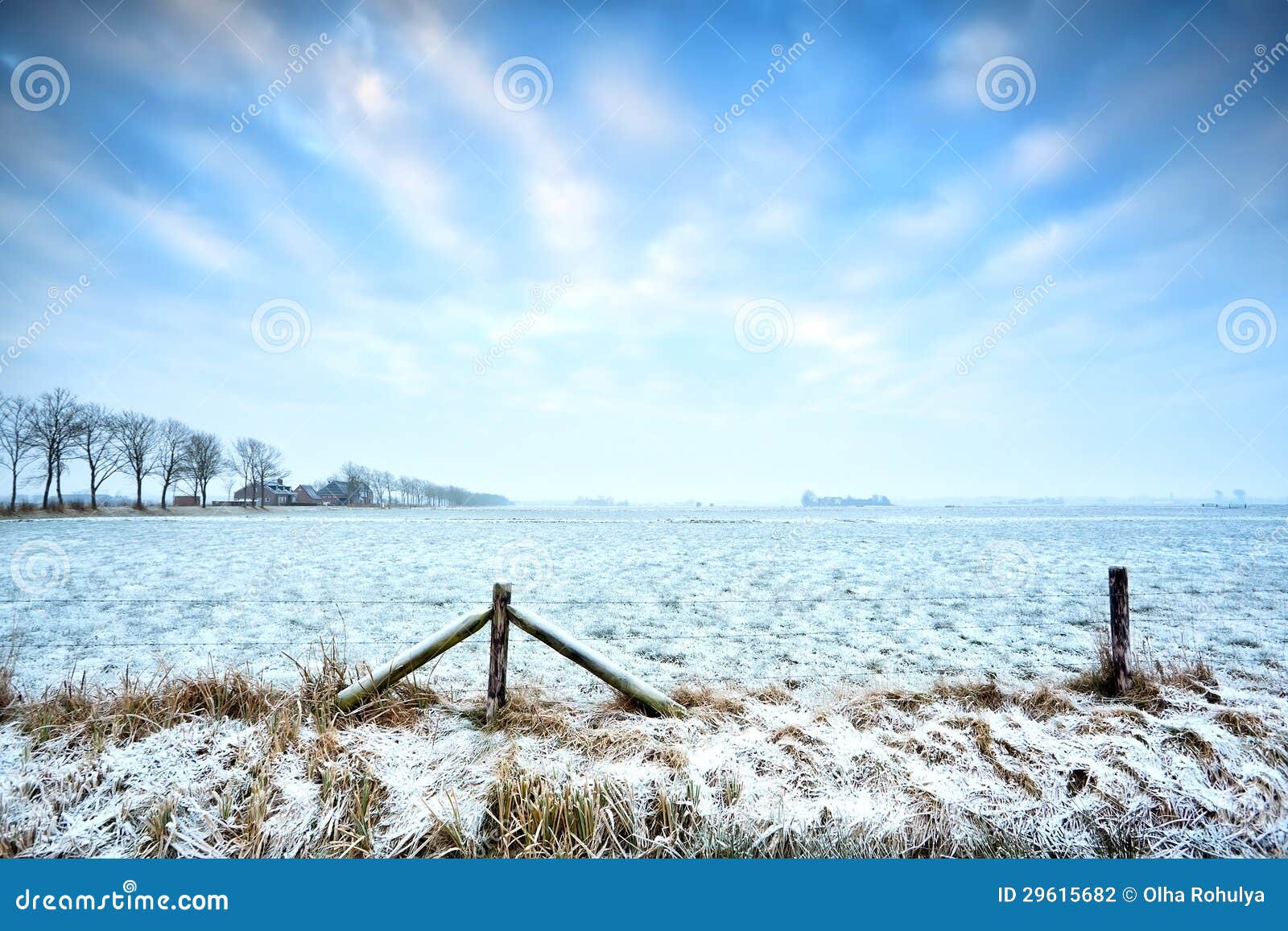 Typical Dutch Farmland in Winter Stock Photo - Image of horizon ...