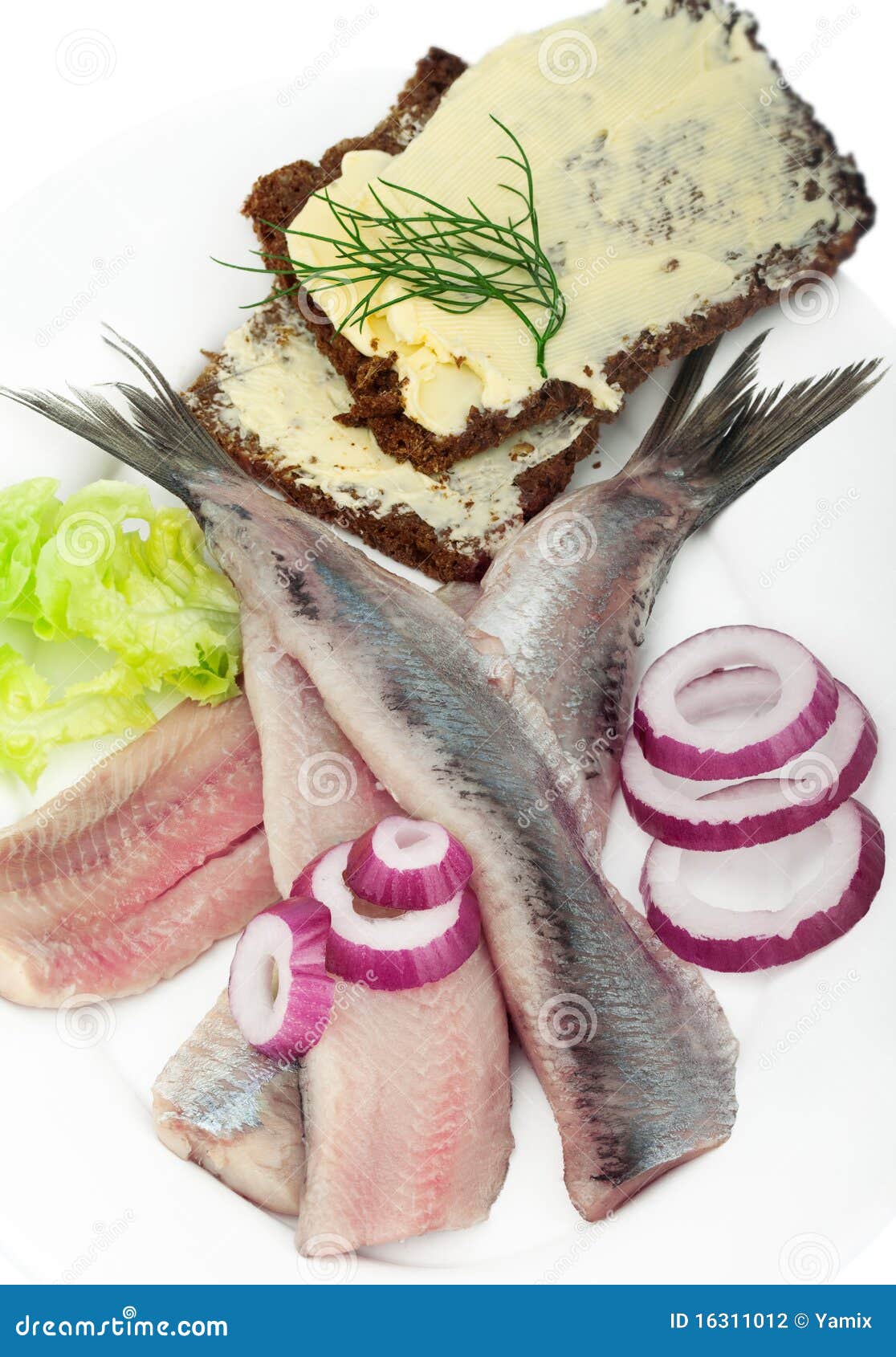 Typical Dutch herring stock photo. Image of studio, herring - 16311012