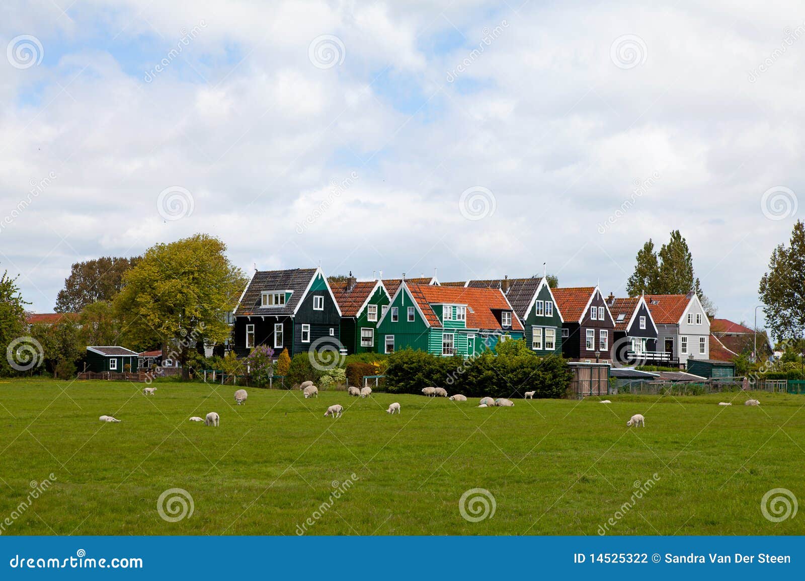 Typical Dutch Houses in Marken Stock Photo - Image of sheep, city: 14525322