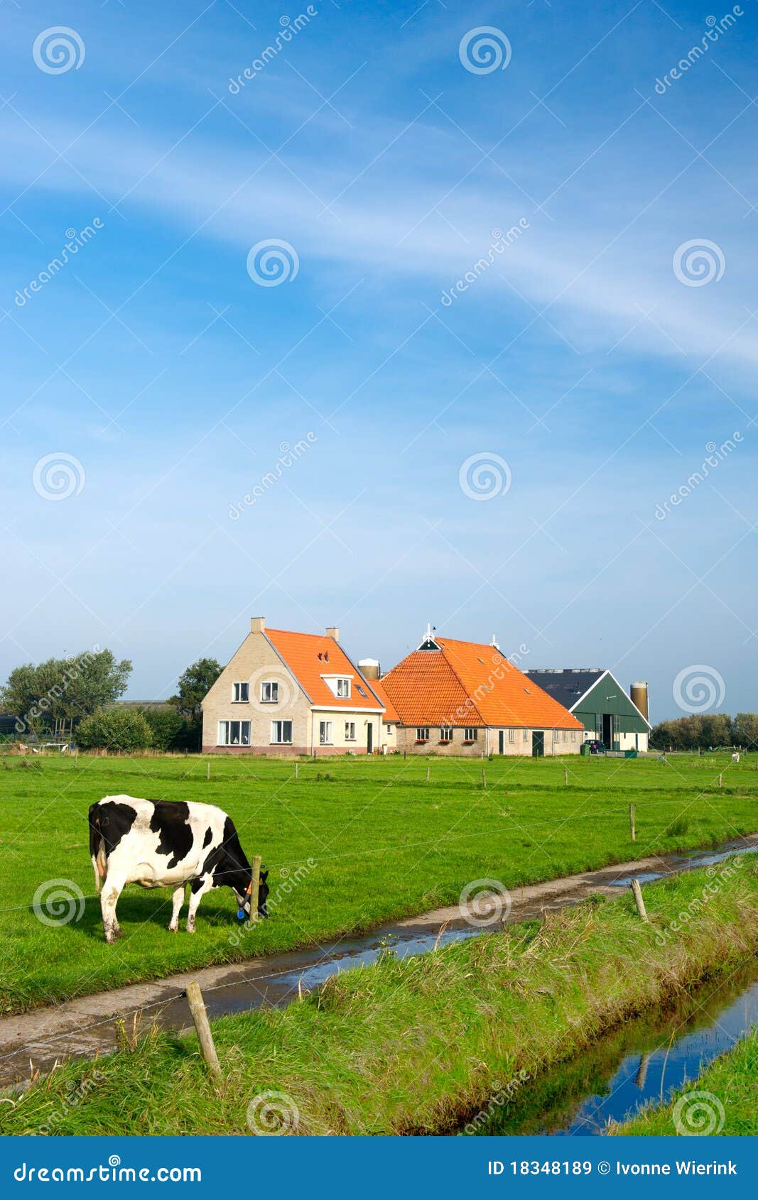 Typical Dutch Sign Board Stock Image | CartoonDealer.com #87308185