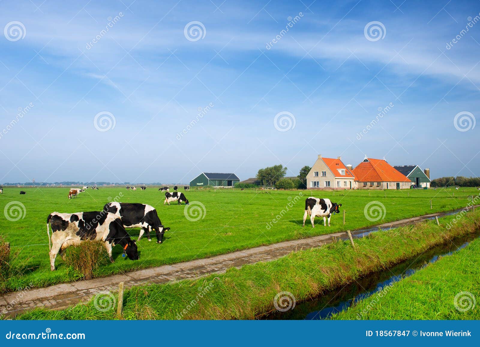 Typical dutch landscape stock image. Image of ameland - 18567847