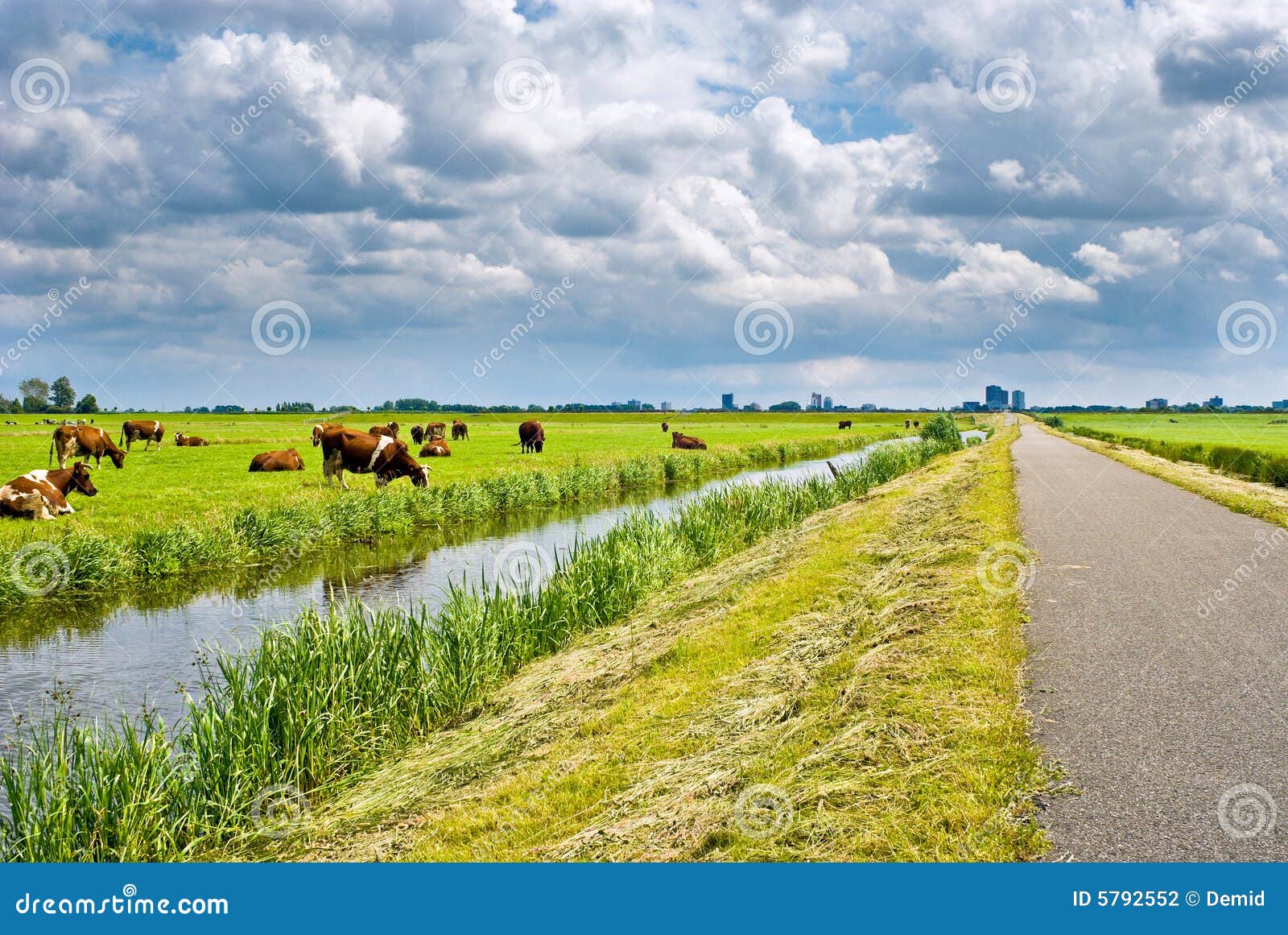 Typical Dutch Landscape stock photo. Image of building - 5792552