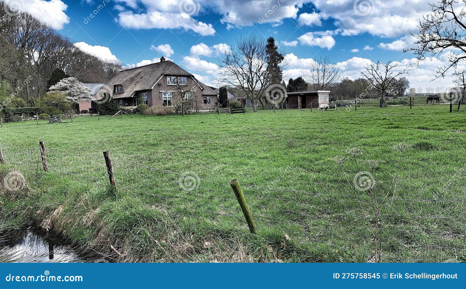 A Typical Dutch Landscape, with a Farm Stock Image - Image of blue ...