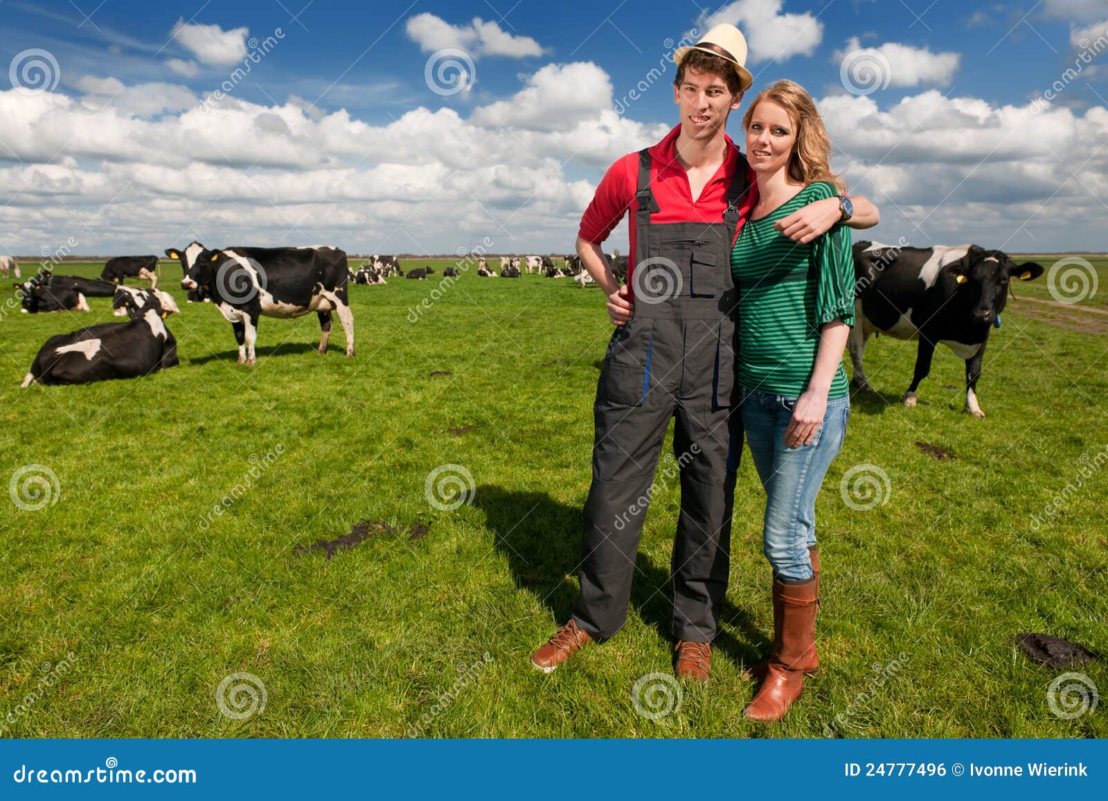 Typical Dutch Landscape with Farmers Stock Photo - Image of outdoor ...