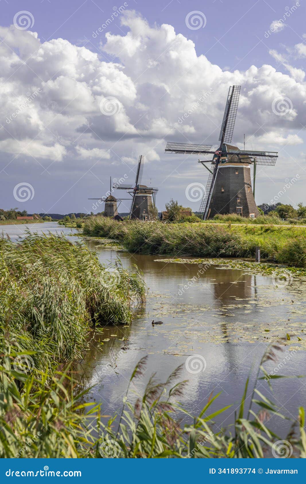 Typical Dutch Landscape with Traditional Windmills, Netherlands Stock ...