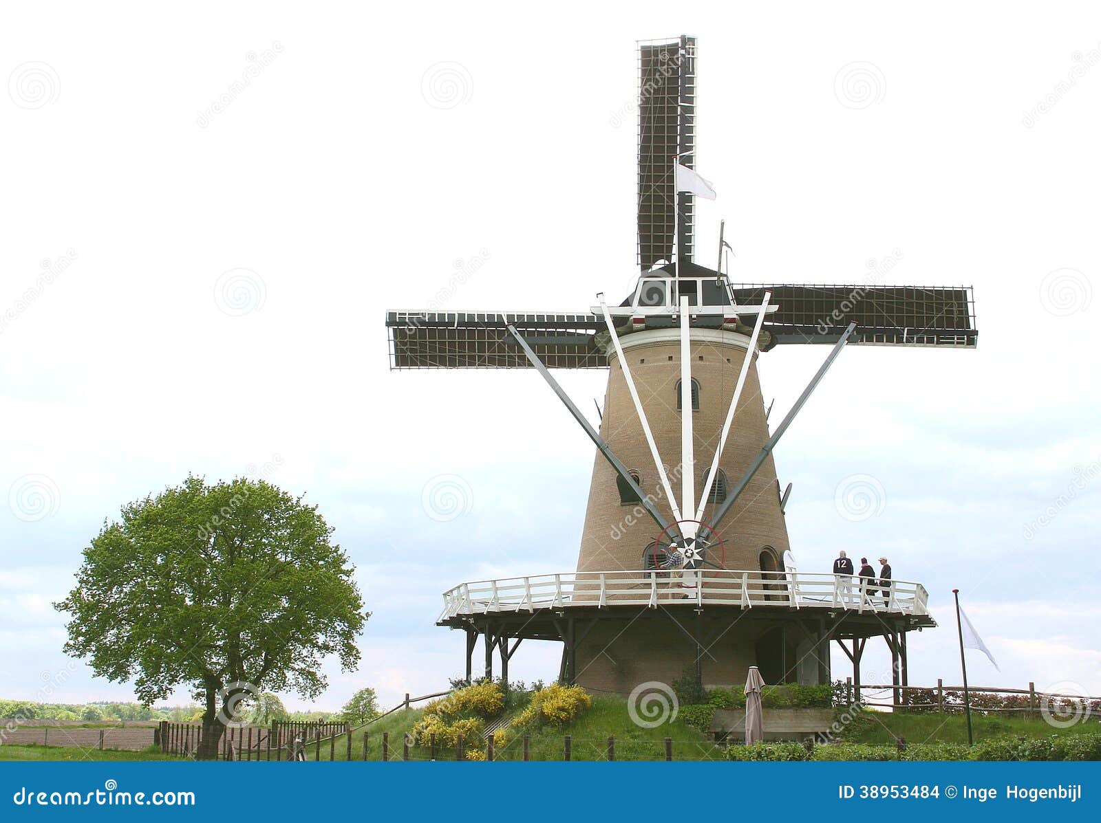 Typical Dutch Polder Landscape with Windmill, an Alternative Energy ...