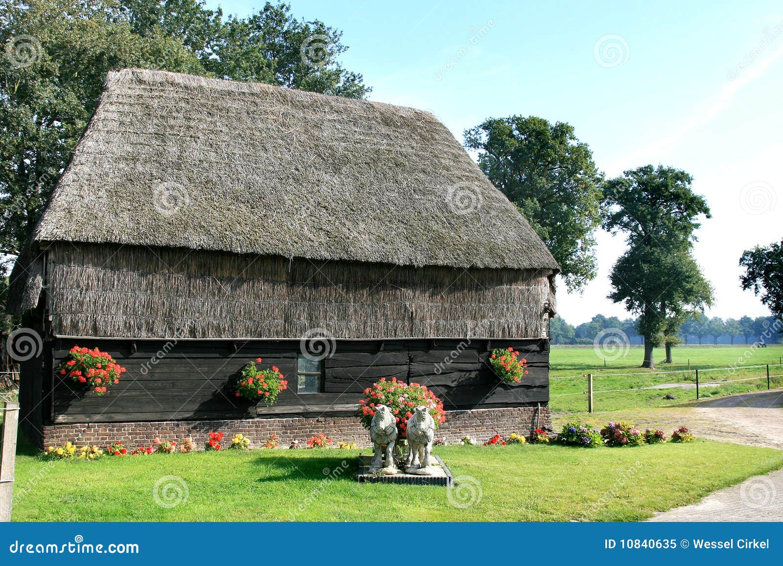 Typical Dutch Thatched Barn and Garden Stock Image - Image of natural ...