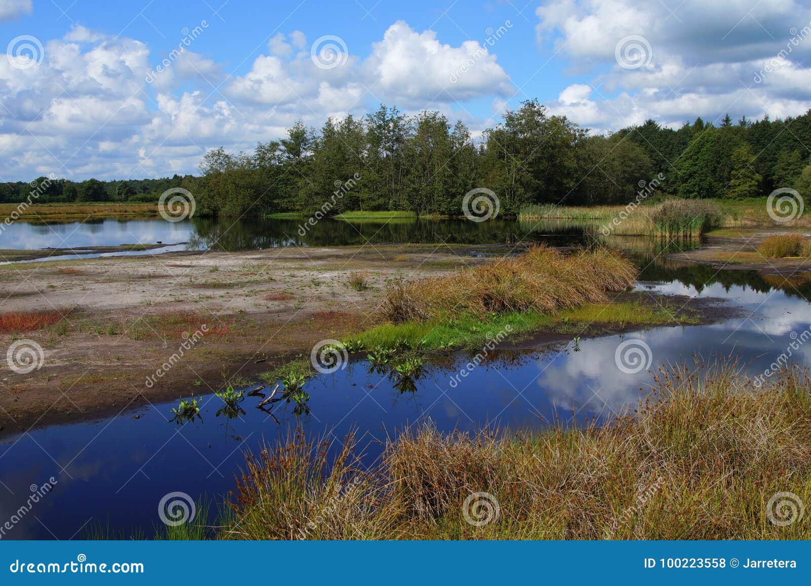 Typical Dutch wetland stock photo. Image of summer, gelderland - 100223558