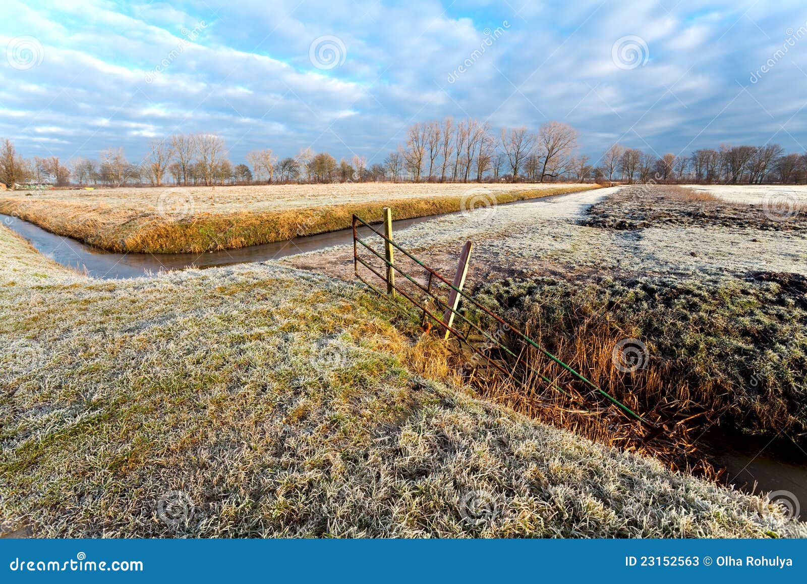 Typical Dutch Winter Landscape Stock Image - Image of nature ...
