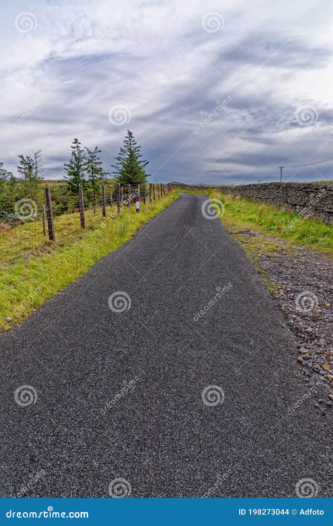 Typical Empty British Country Lane Stock Photo - Image of landscape ...