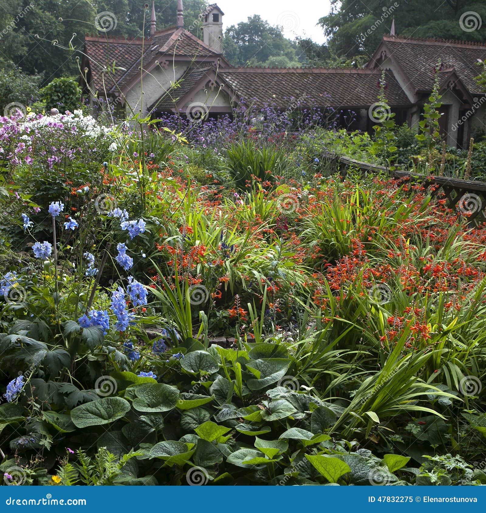 Typical English garden stock image. Image of garden, education - 47832275