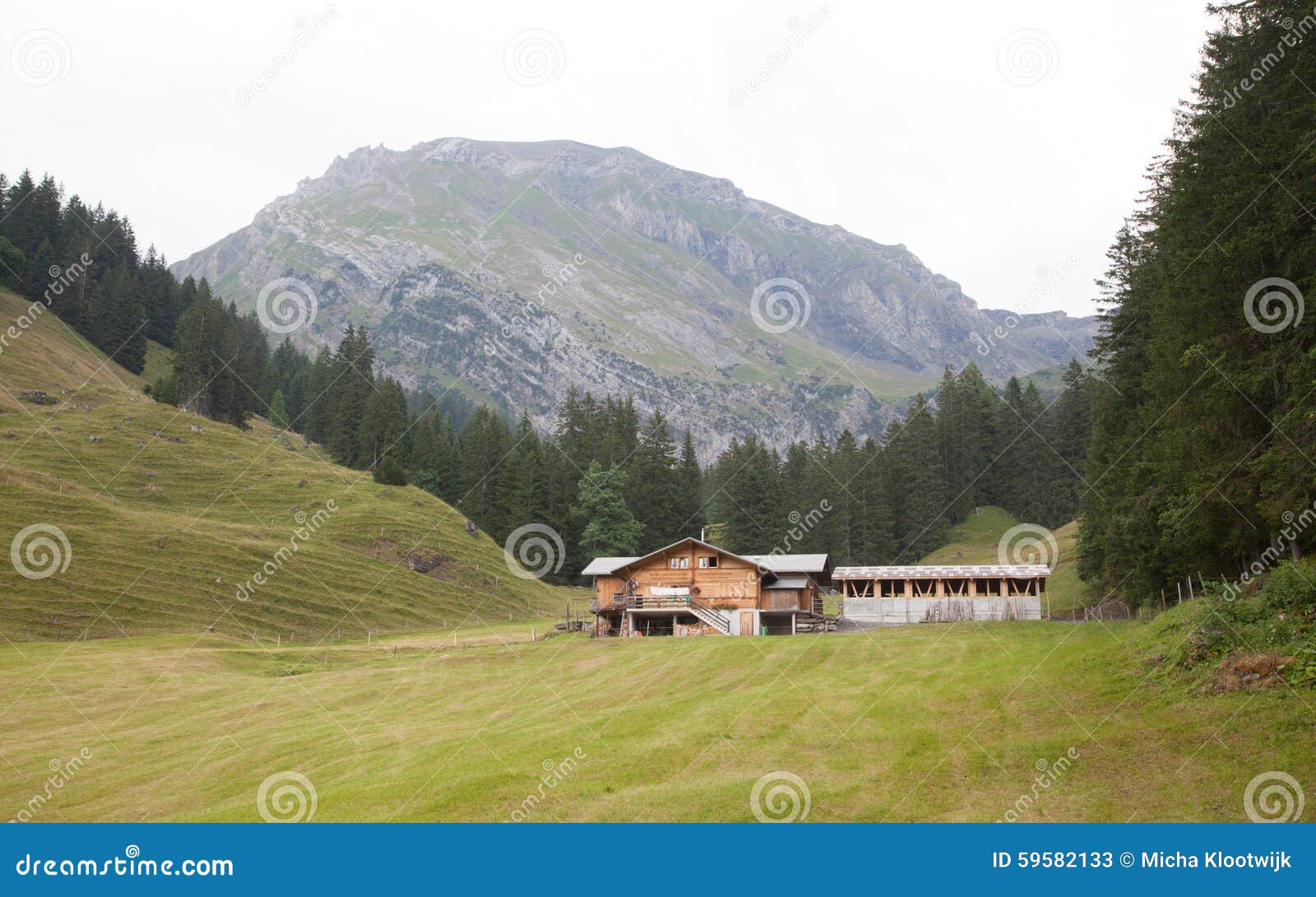 Typical Farm in the Swiss Alps Stock Image - Image of rolling, forest ...