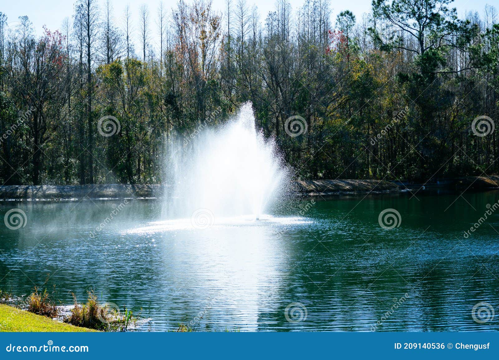 A Beautiful Florida Community Pond in Spring Stock Photo - Image of ...
